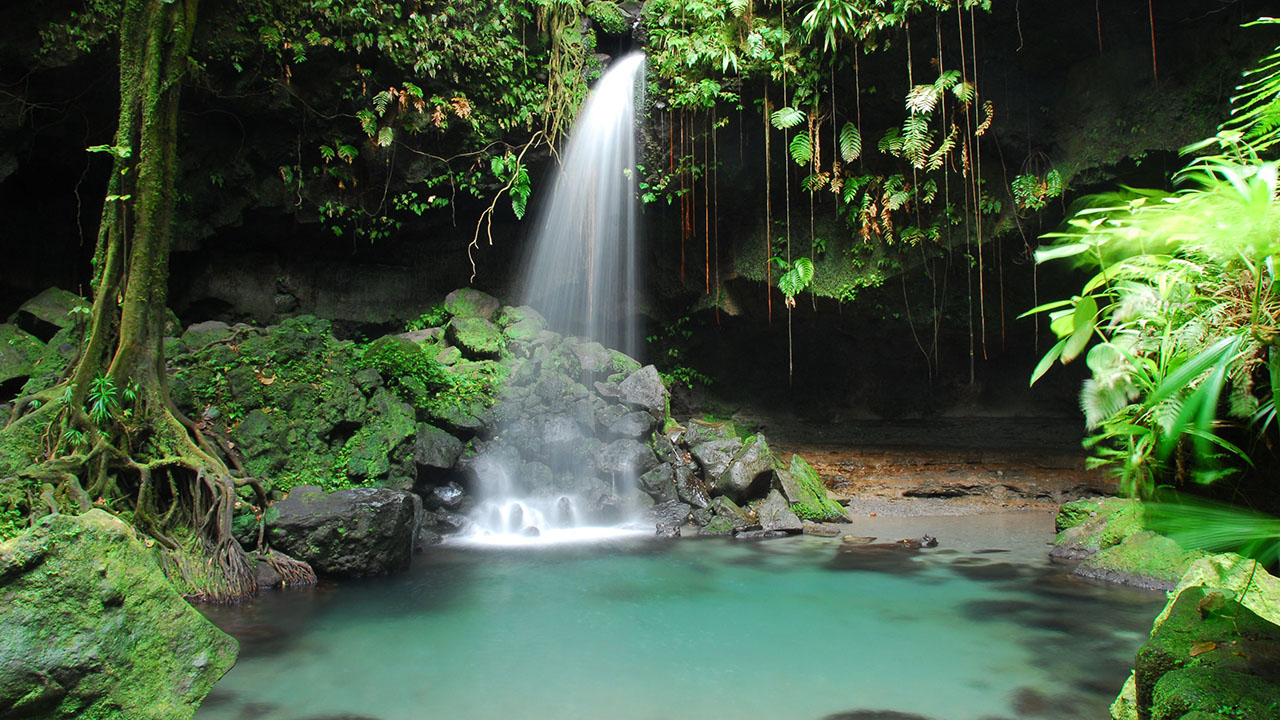 Tourism Sites - Forestry